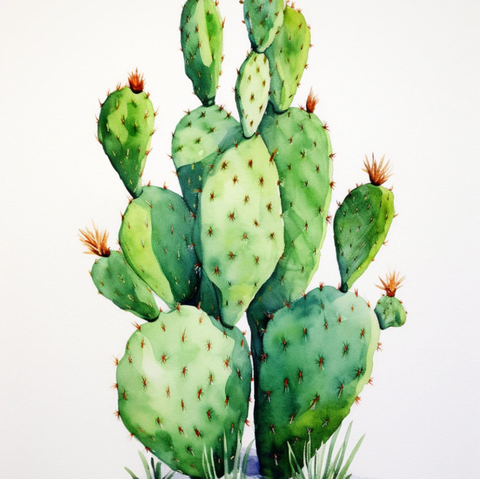 Watercolor Cactus Print | Plant Poster | Southwestern Green Art ...