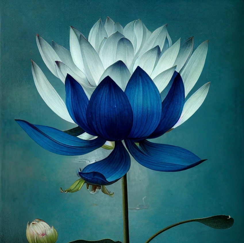 DIGITIAL DOWNLOAD Blue Lotus Poster Print Zen Wall Art Blue Floral Wall ...