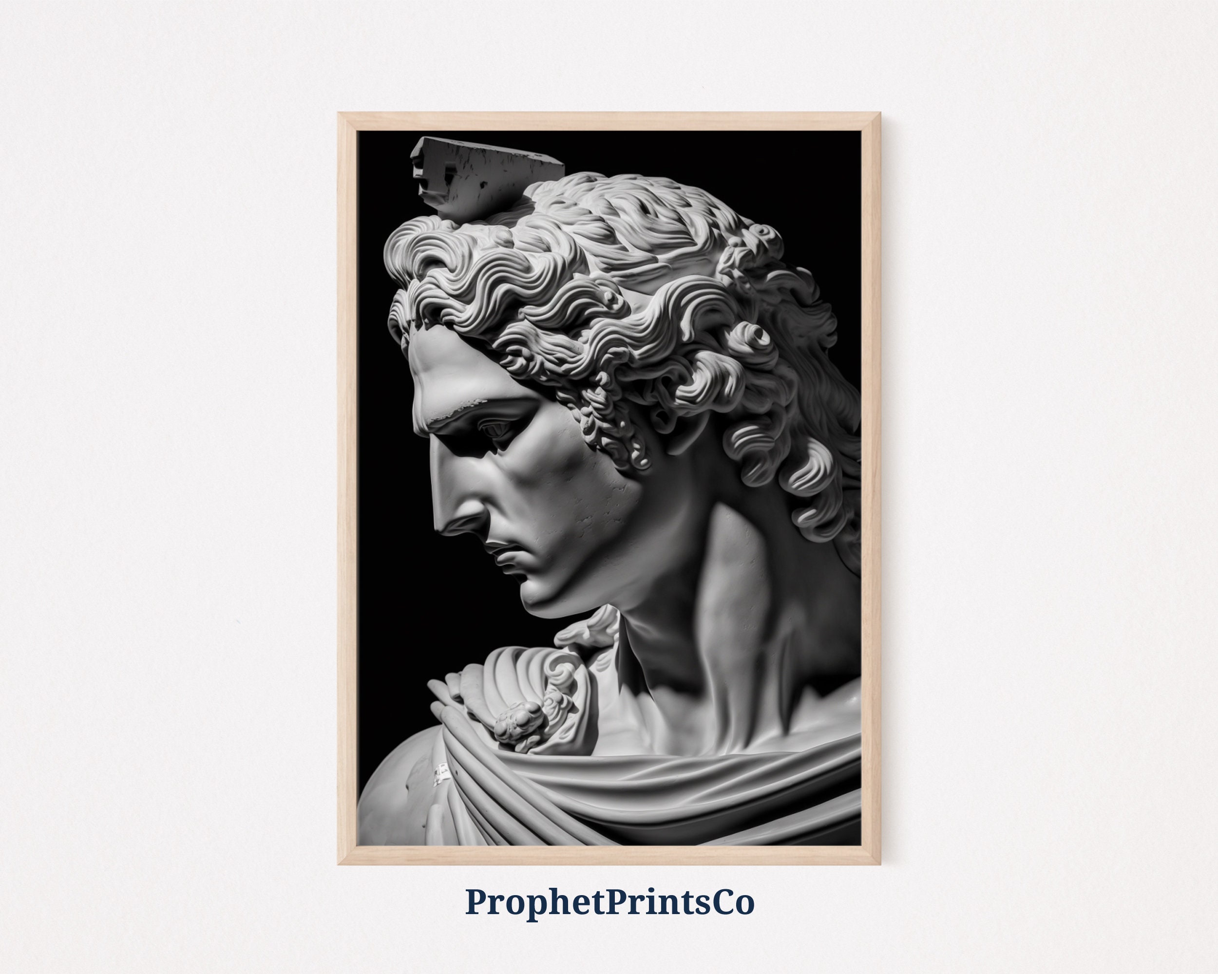 Monochrome Alexander the Great Poster Print | Ancient Greek Wall Art ...