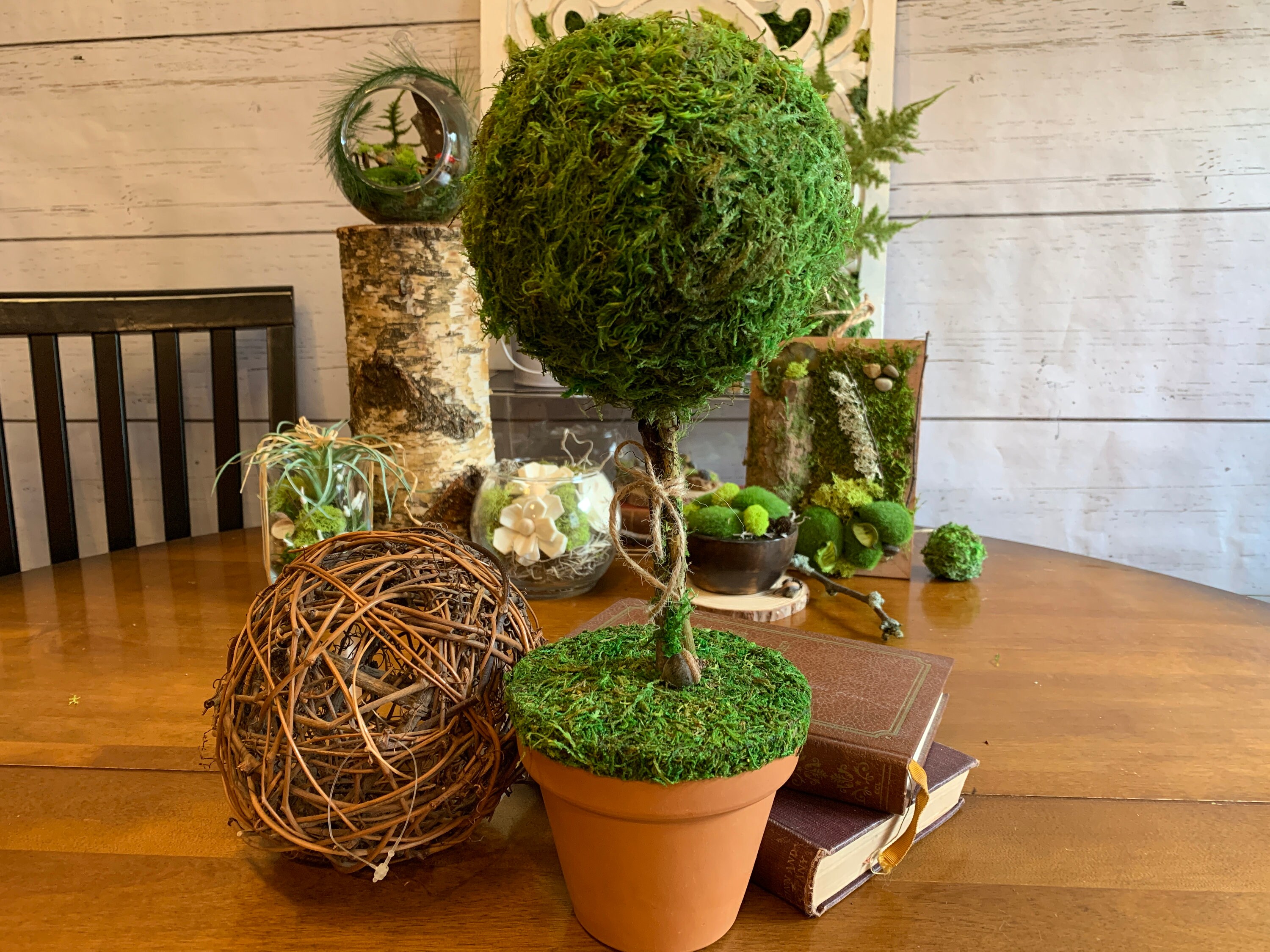 Preserved Moss Centerpiece Gift Office Maintenance Free Greenery to ...