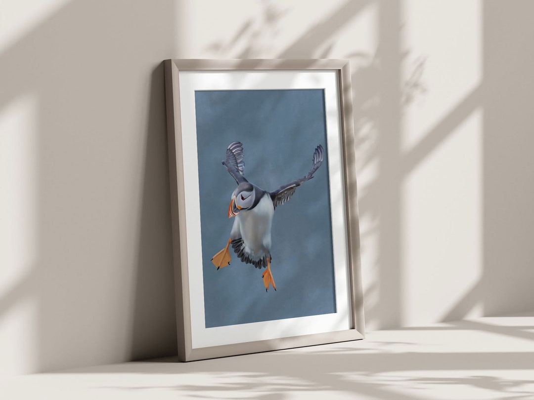 Puffin - Etsy