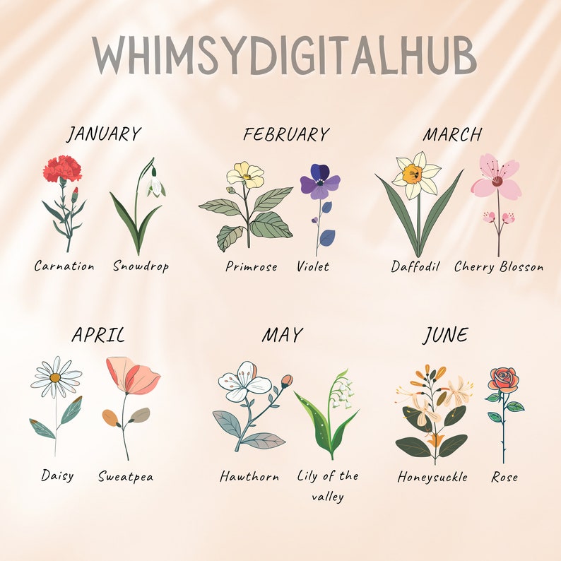 Birth Month Flowers Clipart SVG Birthmonth Flower SVG Bundle Watercolor ...