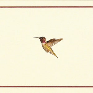 Hummingbird Flight Note Cards - Etsy
