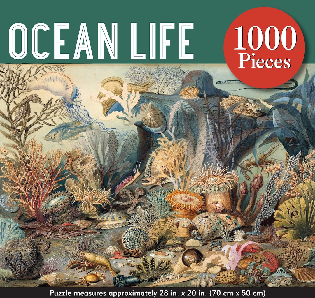 Ocean Life 1000 Piece Jigsaw Puzzle - Etsy