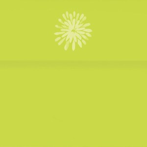 Watercolor Birds Note Cards - Etsy