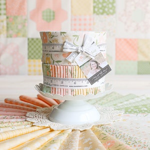 Flower Girl Picnic Checks and Plaids Peachy 31733 17 by Heather Briggs ...