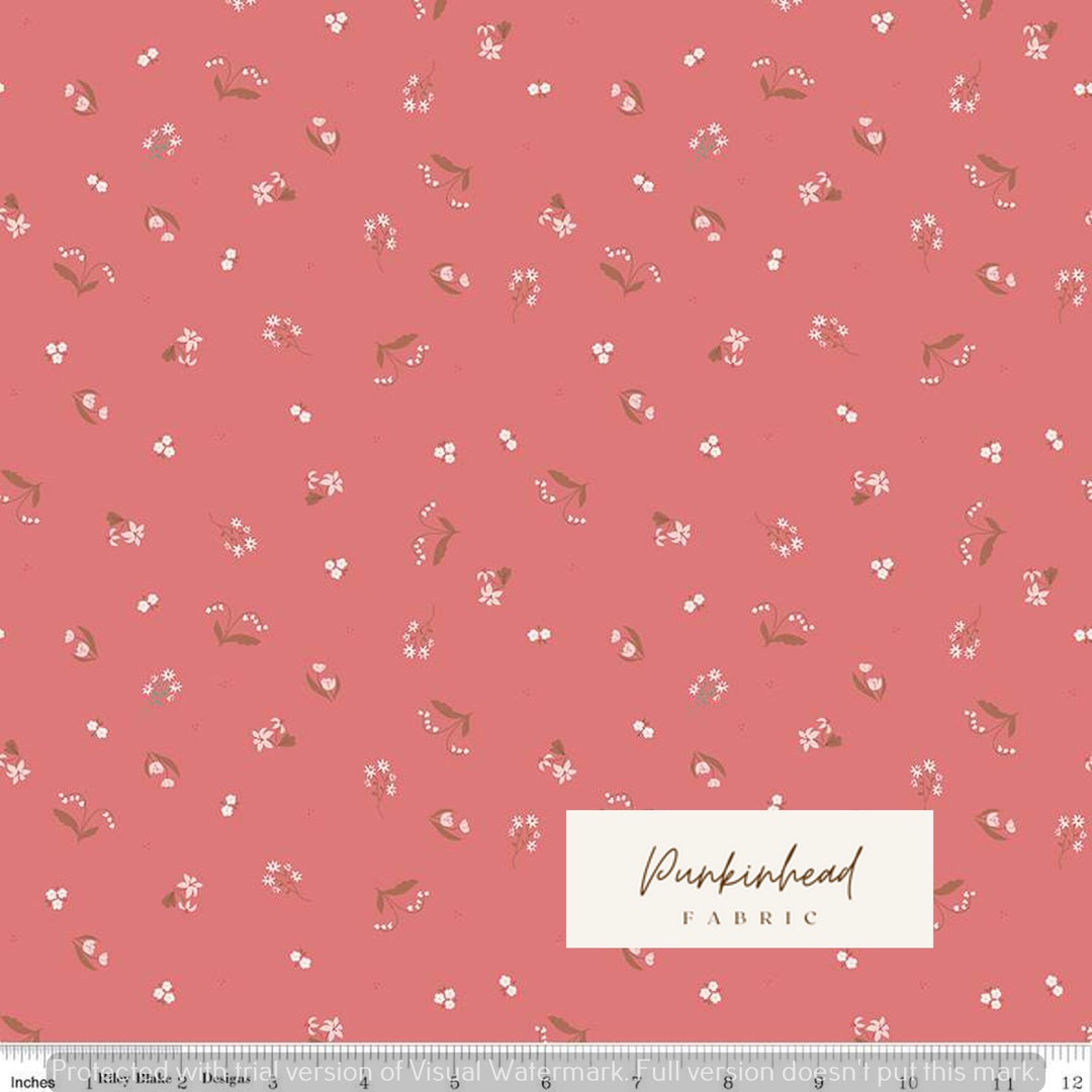 Emma Ditzy Rose by Riley Blake Quilting Fabric by the Yard, Cotton ...