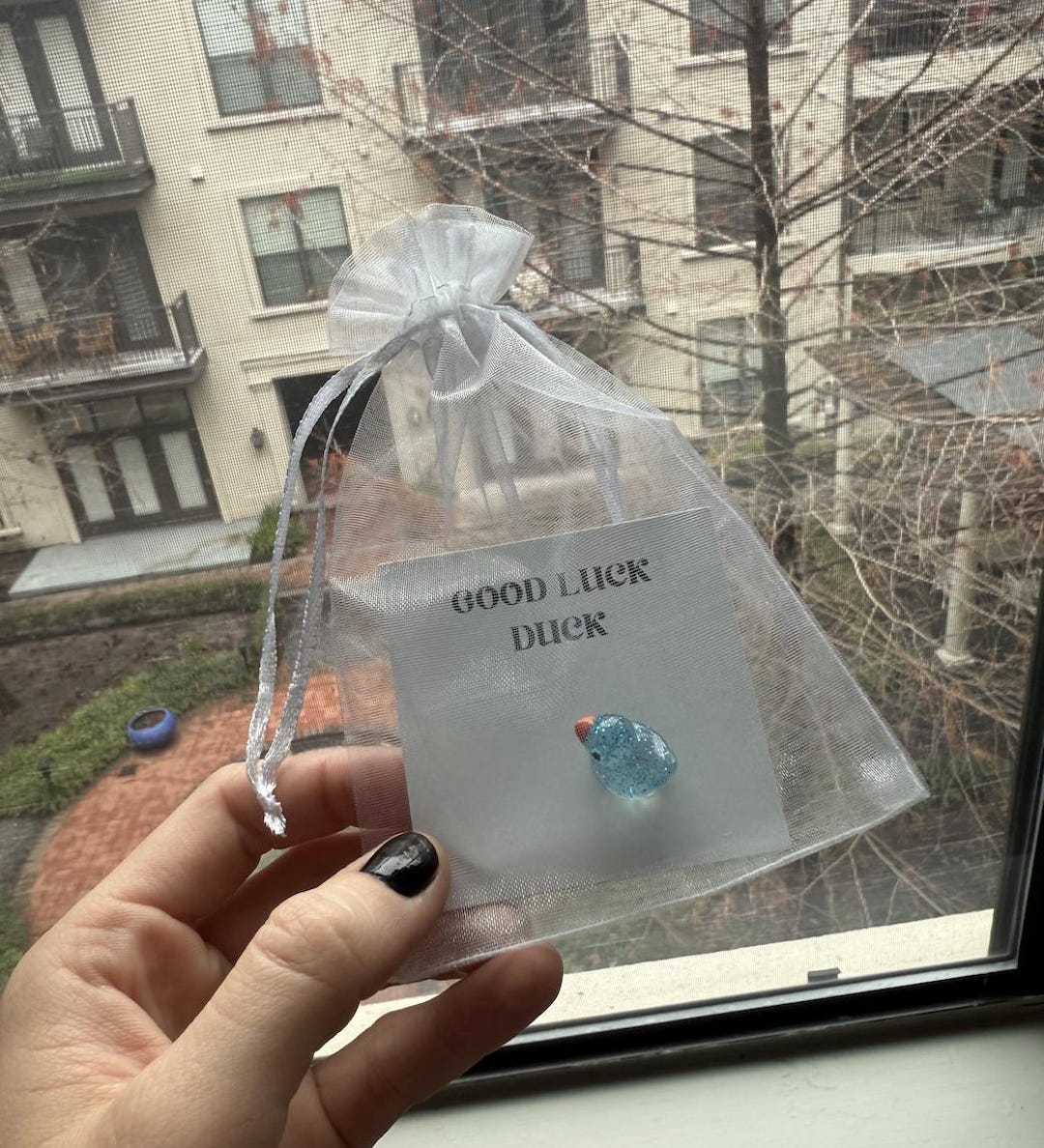 Good Luck Duck! | Charm Mini Duck Gift (random Color - Stay Whimsical ...