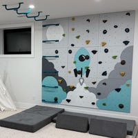 Blue Climbing Holds for Fridge and Magnetic Board, Perfect Gift for ...