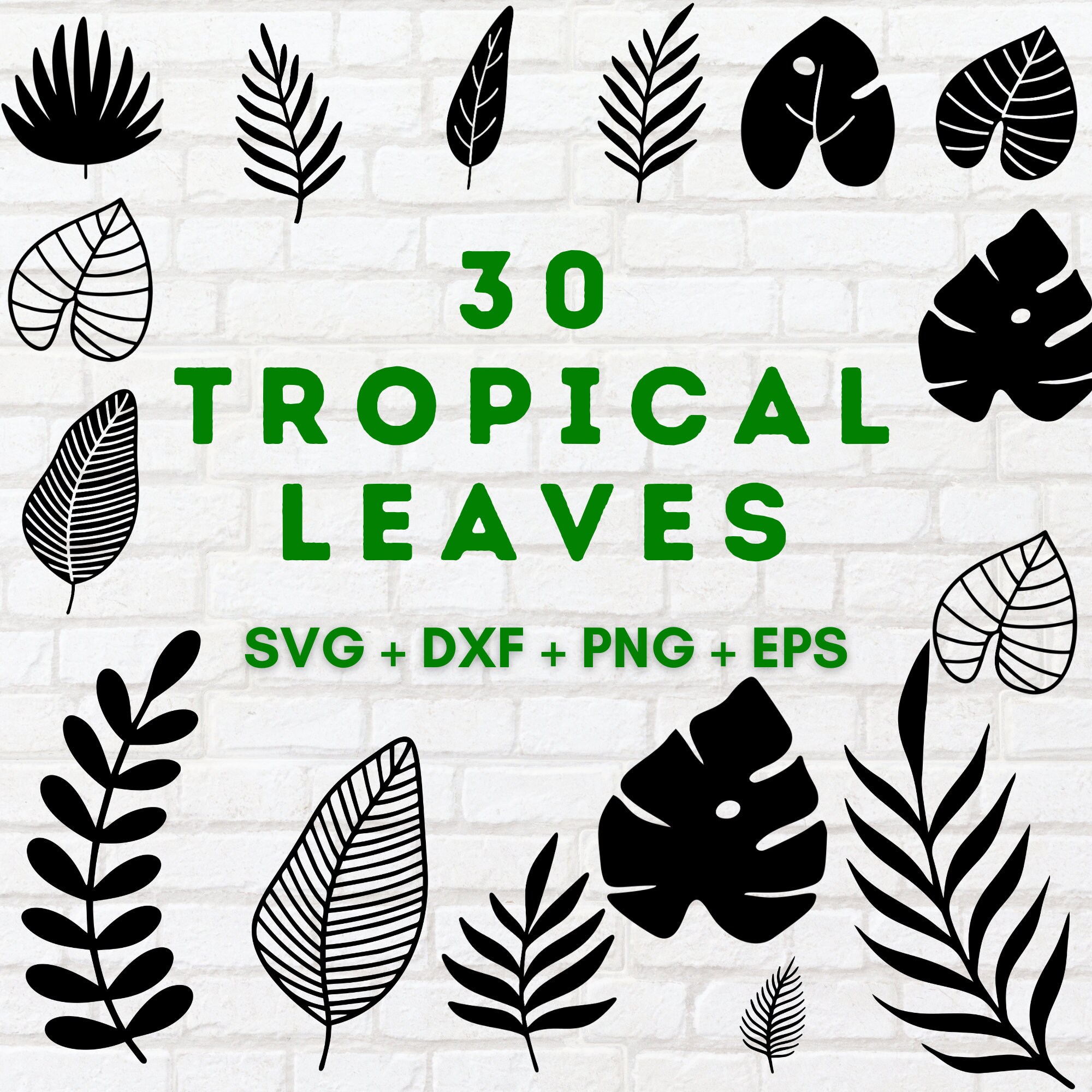Rainforest Leaves Template