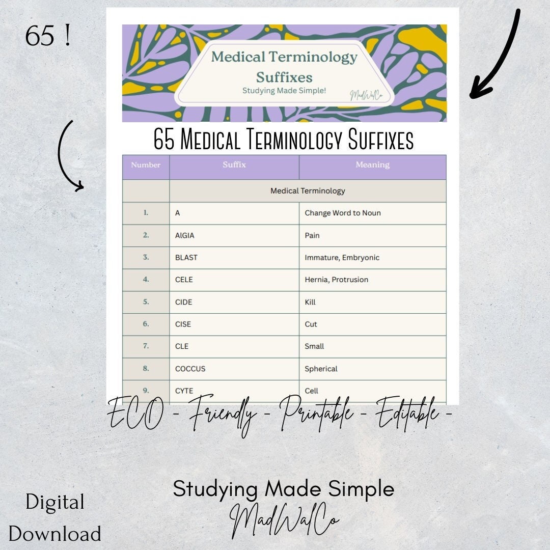 Medical Terminology Flashcards,medical Terminology Prefixes, 55% OFF