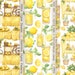 12 Seamless Digital Papers Summer Lemonade Stand Seamless - Etsy