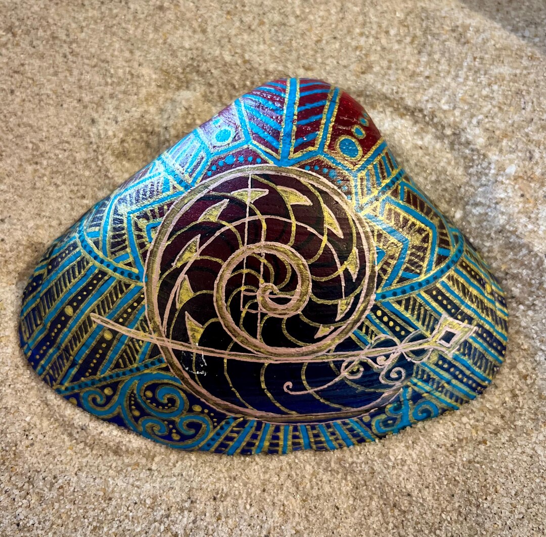 Hand-painted fibonacci Sequence Seashell - Etsy