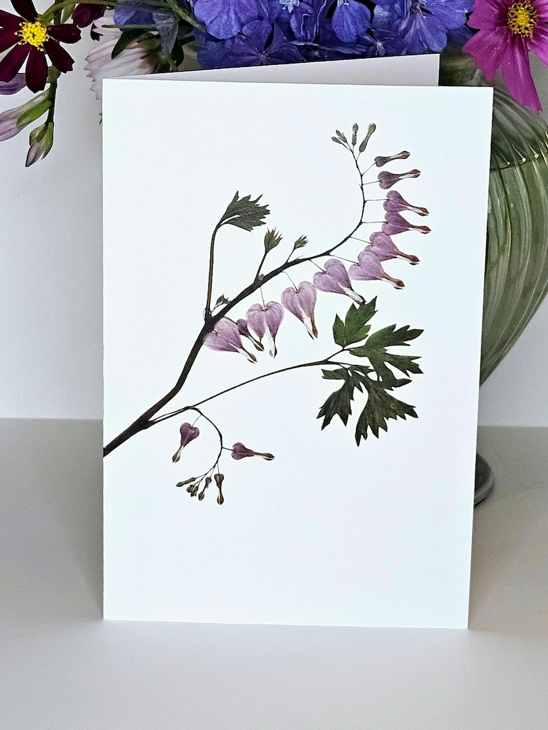 Slow Pressed Bleeding Heart Greeting Card for All Occasions - Etsy