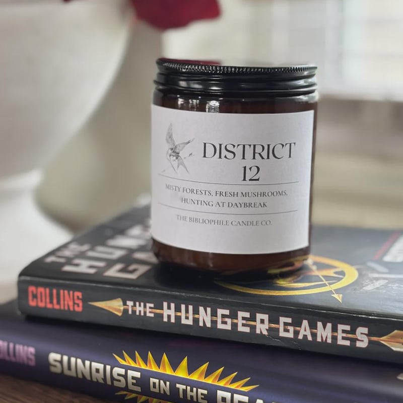 District 12 - Etsy