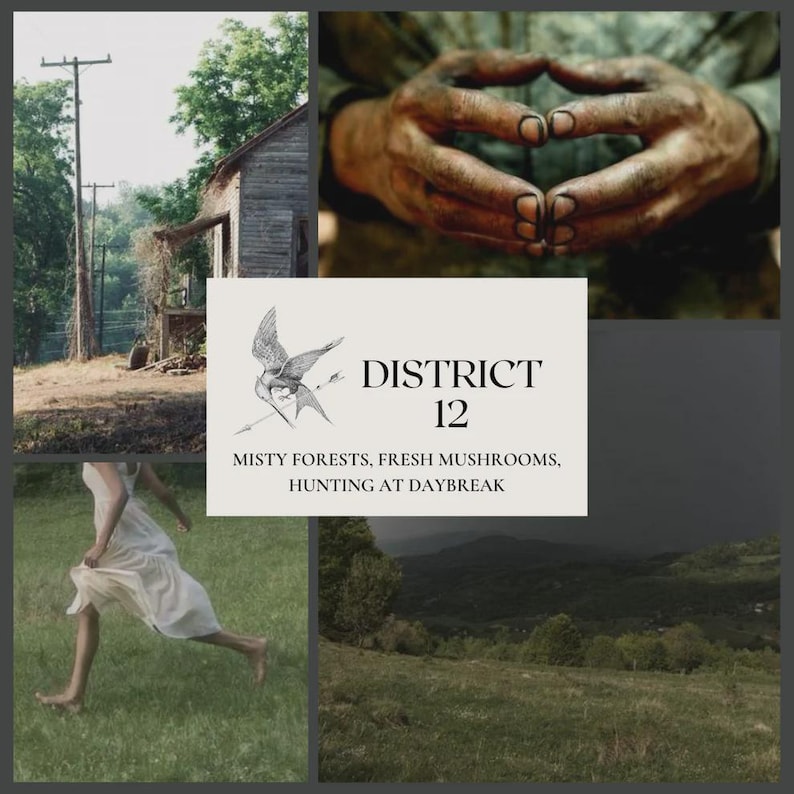 District 12 Scented Candle, Hunger Games, Sunrise on the Reaping ...