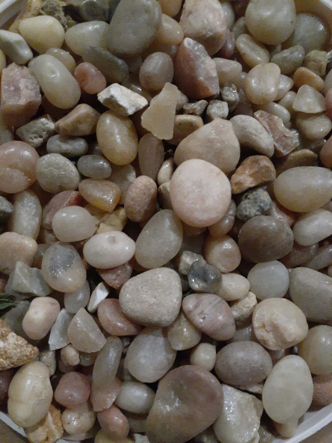 River Pebbles Substrate Reptile Decor Insect Supplies Leopard - Etsy