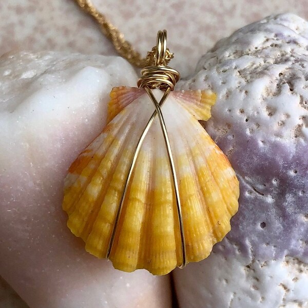 Sunrise Shell Necklace - Etsy