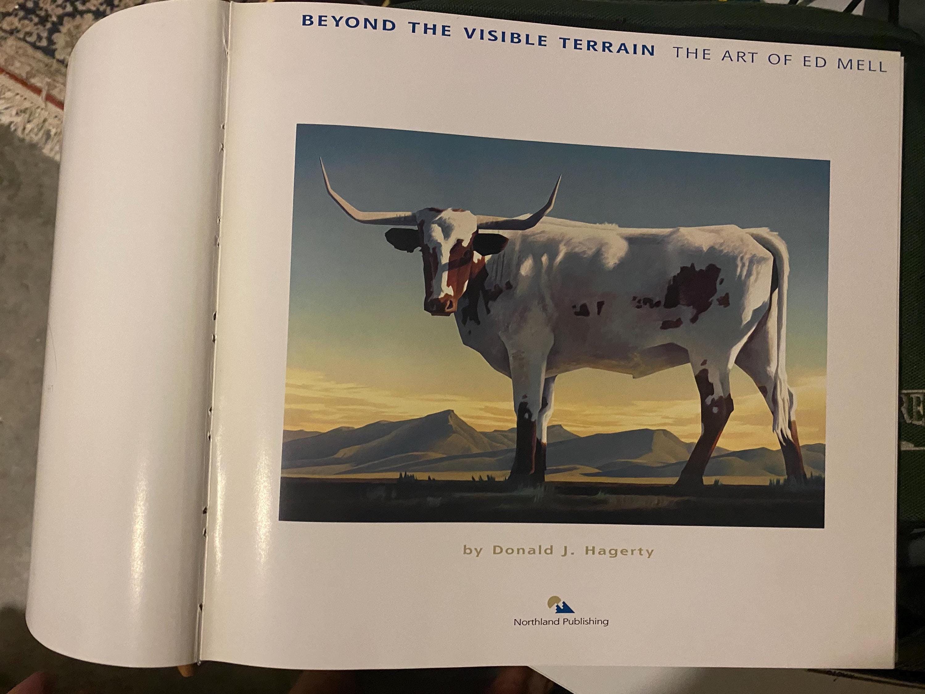 Beyond the Visible Terrain: the Art of Ed Mell – Book by Donald J ...