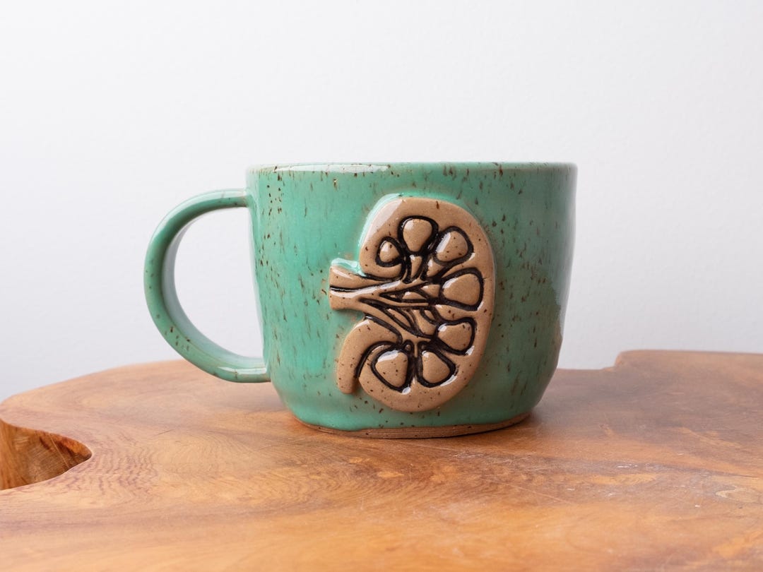 Kidney Mug, Kidney Stone, Urology Mug, Nephrology Mug, Tea Coffee Mug ...