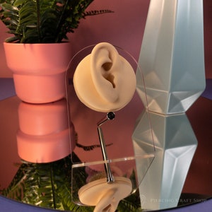 HQ Silicone Ears Model, Ears Displays for Jewellery and Acupuncture ...