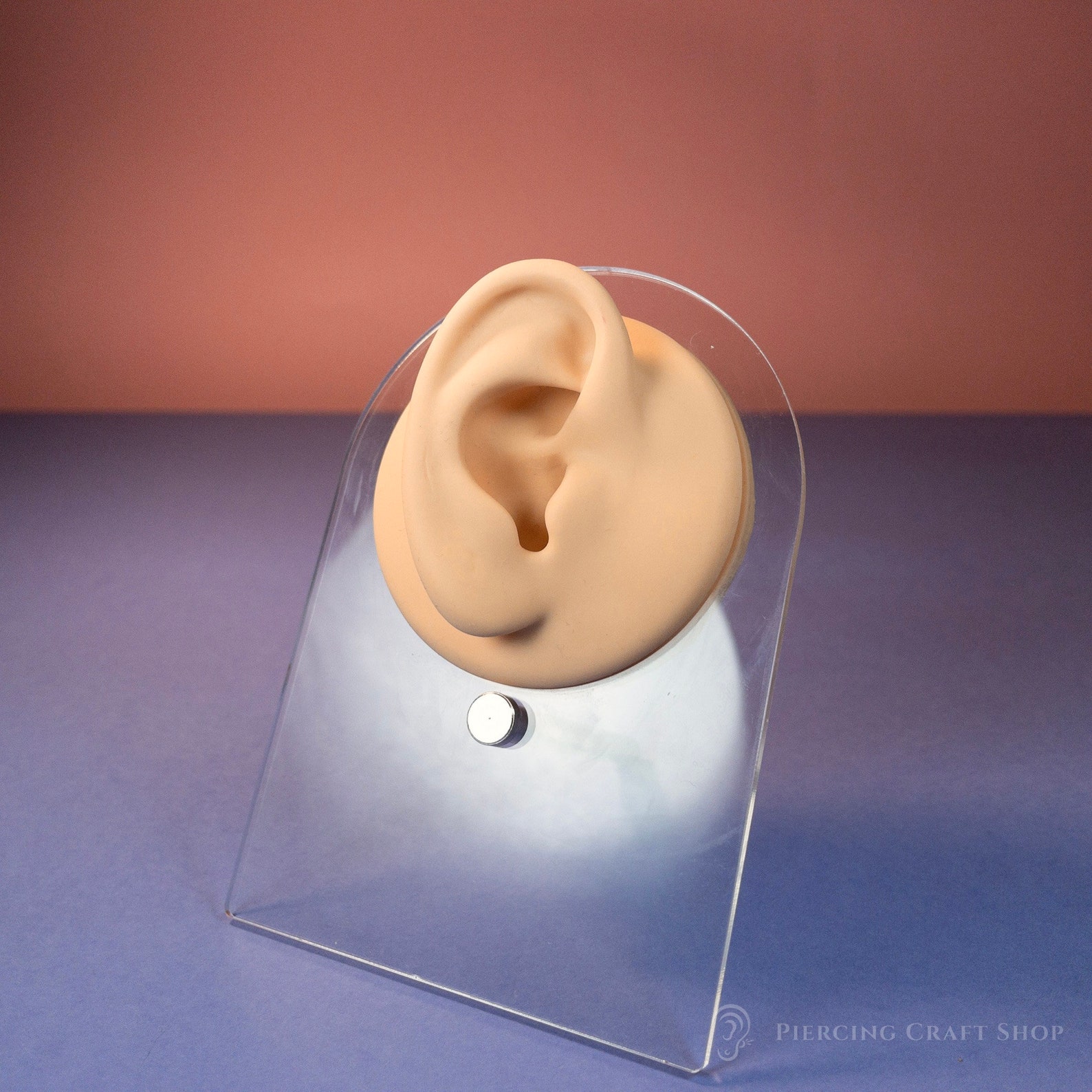 HQ Silicone Ears Model, Ears Displays for Jewellery and Acupuncture ...