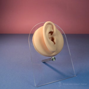 HQ Silicone Ears Model, Ears Displays for Jewellery and Acupuncture ...