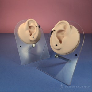 HQ Silicone Ears Model, Ears Displays for Jewellery and Acupuncture ...