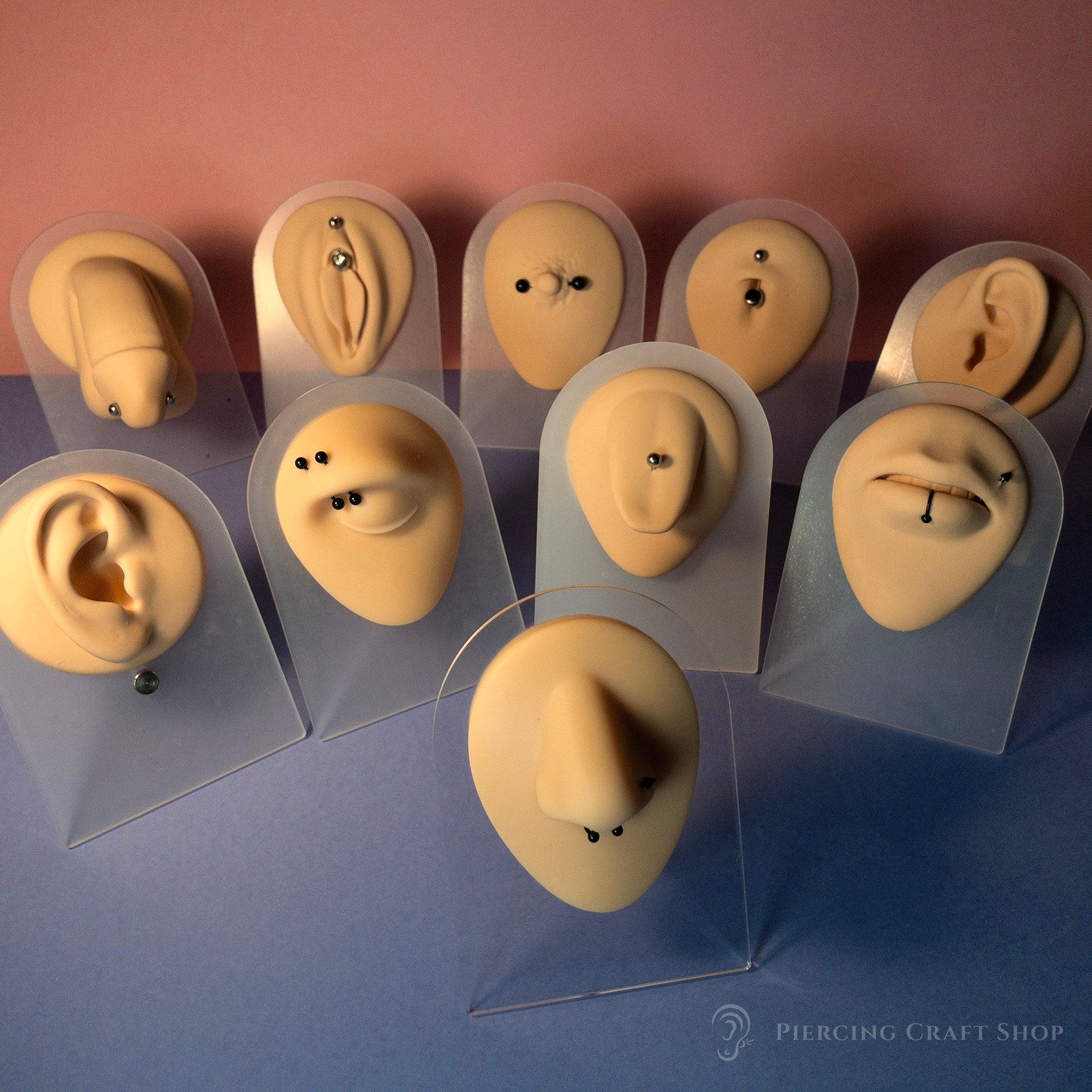 HQ Silicone Nose, Nose Displays for Piercing, Jewellery, and ...