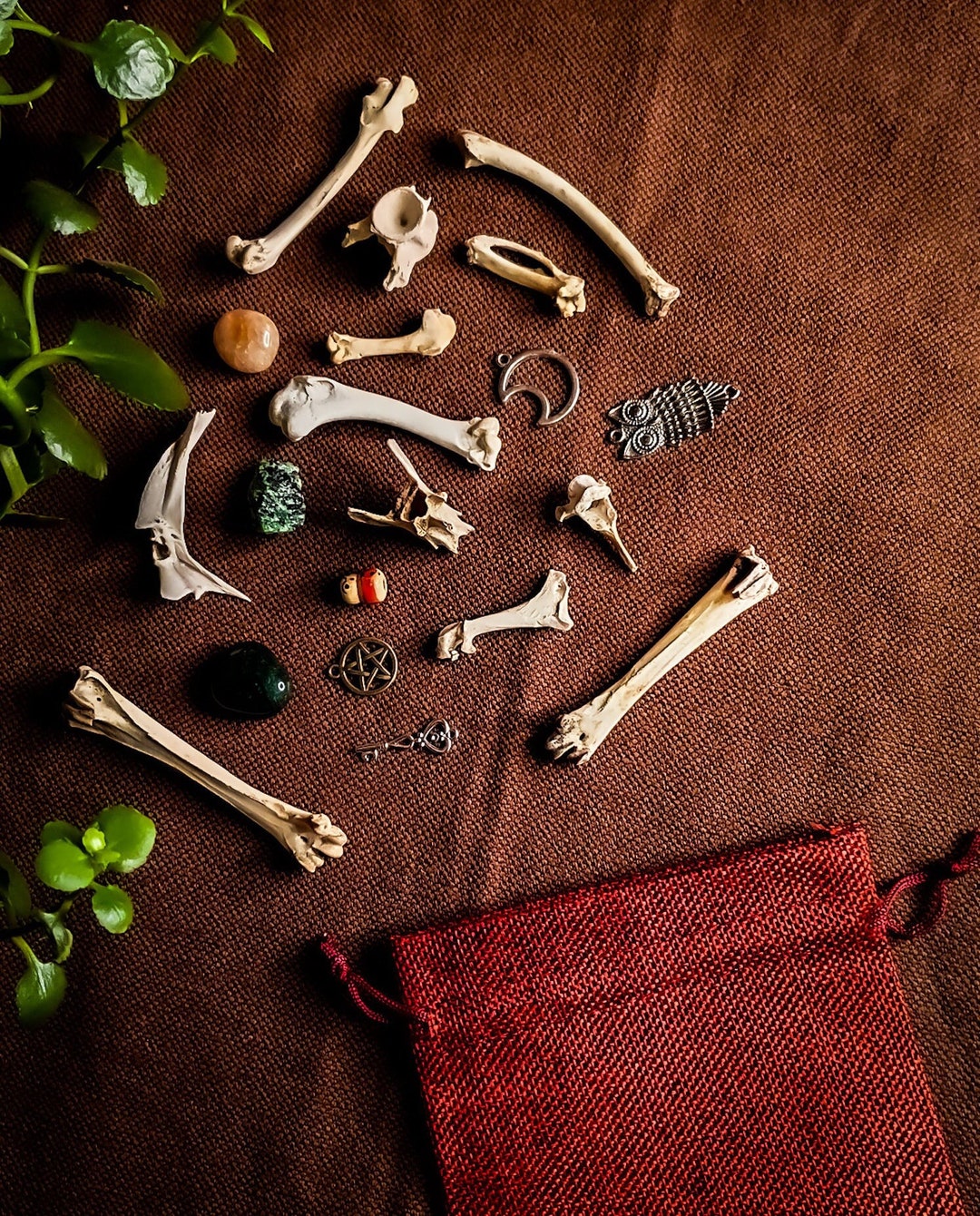 Personalized Bone Throwing Set | Custom-made Bone Casting Set ...