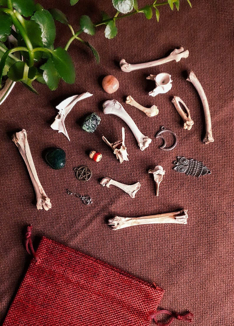 Personalized Bone Throwing Set Custom-made Bone Casting Set Osteomancy ...