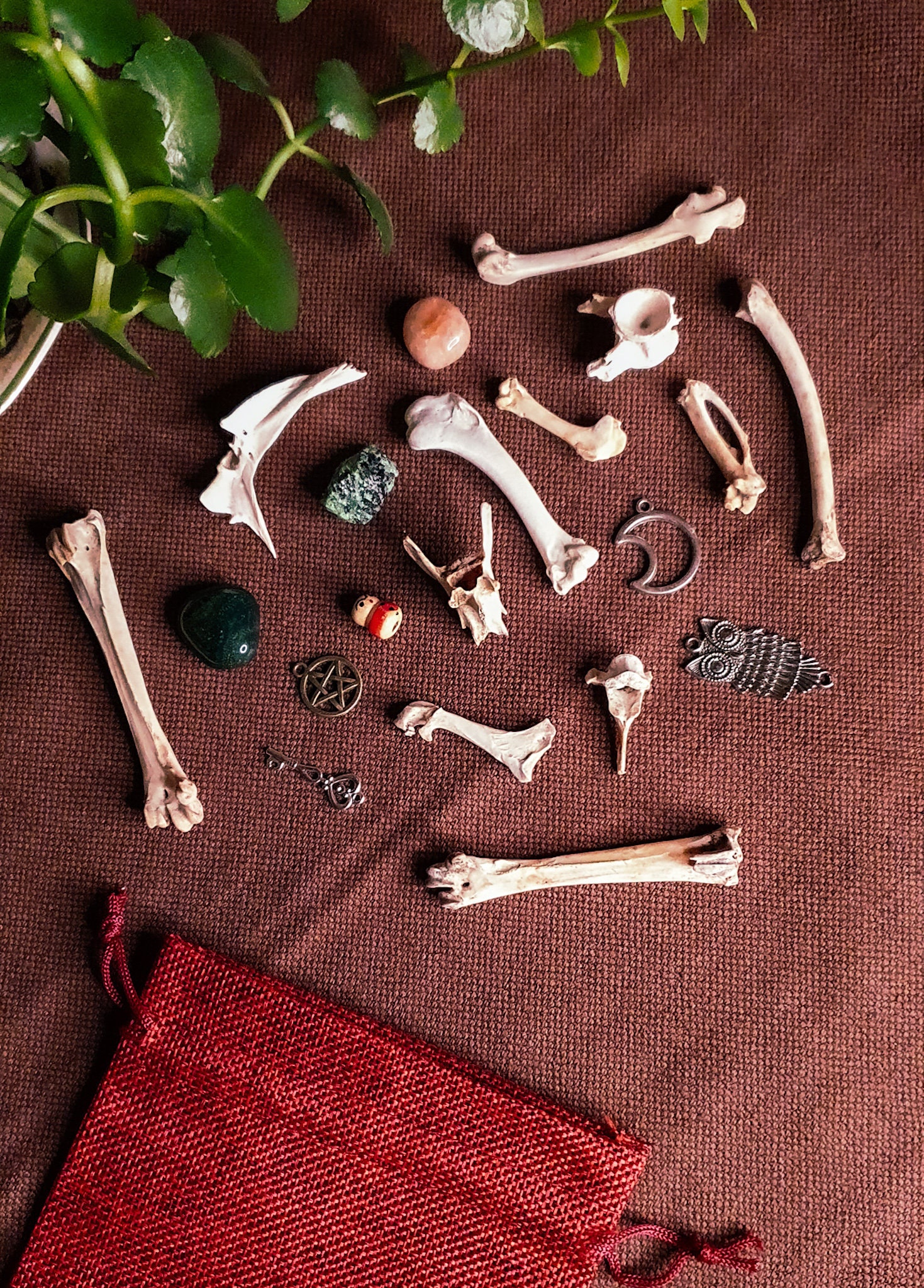 Personalized Bone Throwing Set Custom-made Bone Casting Set Osteomancy ...