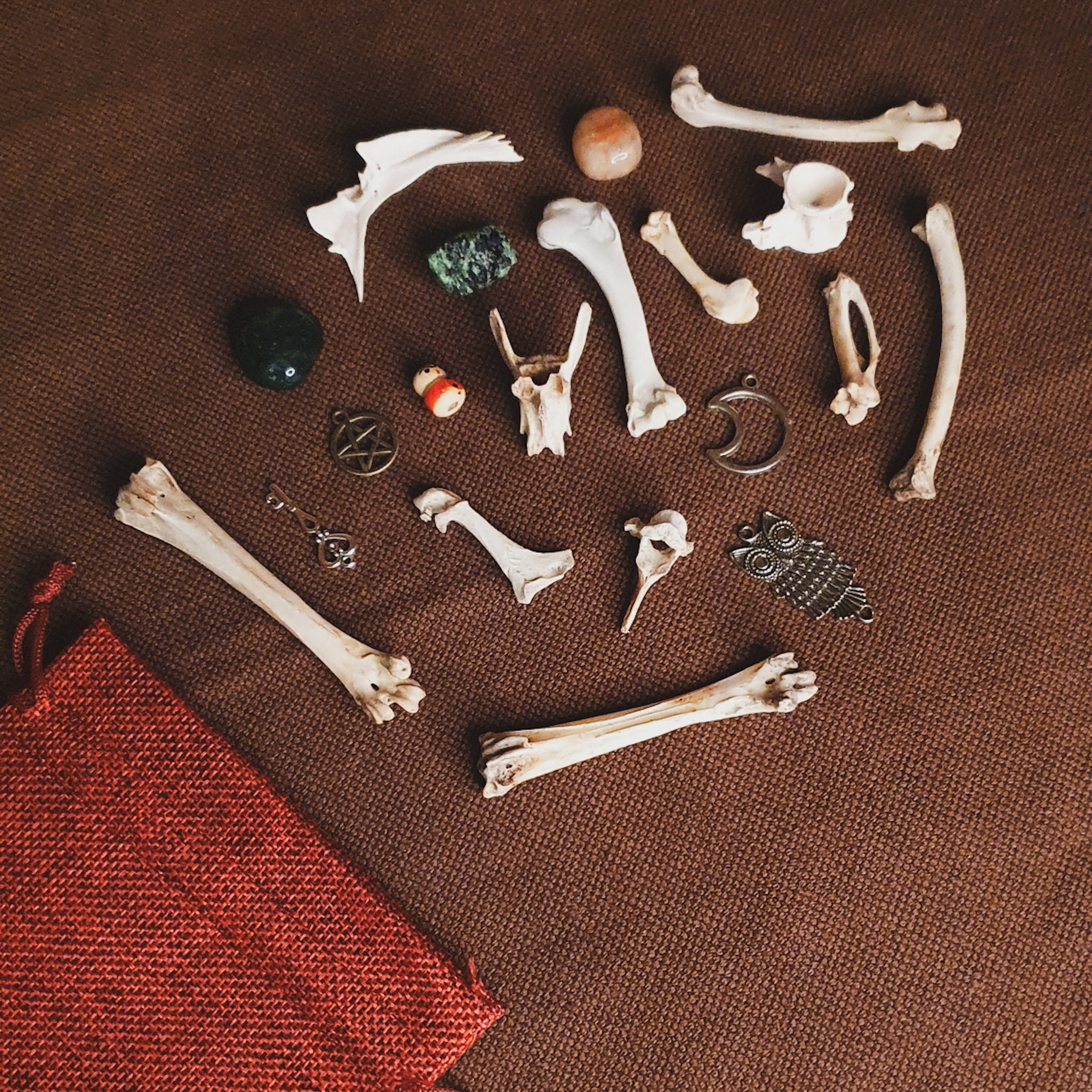 Personalized Bone Throwing Set Custom-made Bone Casting Set Osteomancy ...