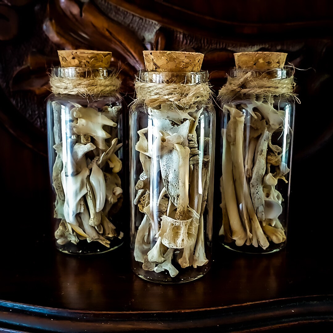 Vials of Small Bones for Witchcraft, Curiosity Cabinets, or Arts and Crafts | Curios | Taxidermy ...
