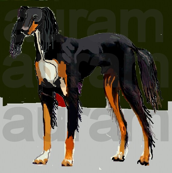 SALUKI .........painted by Mouse on M.s.paint - Etsy