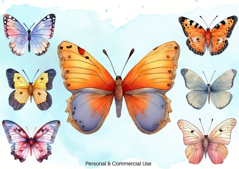 Watercolour Butterflies 18 Pngs Clip Art Illustrations - Etsy