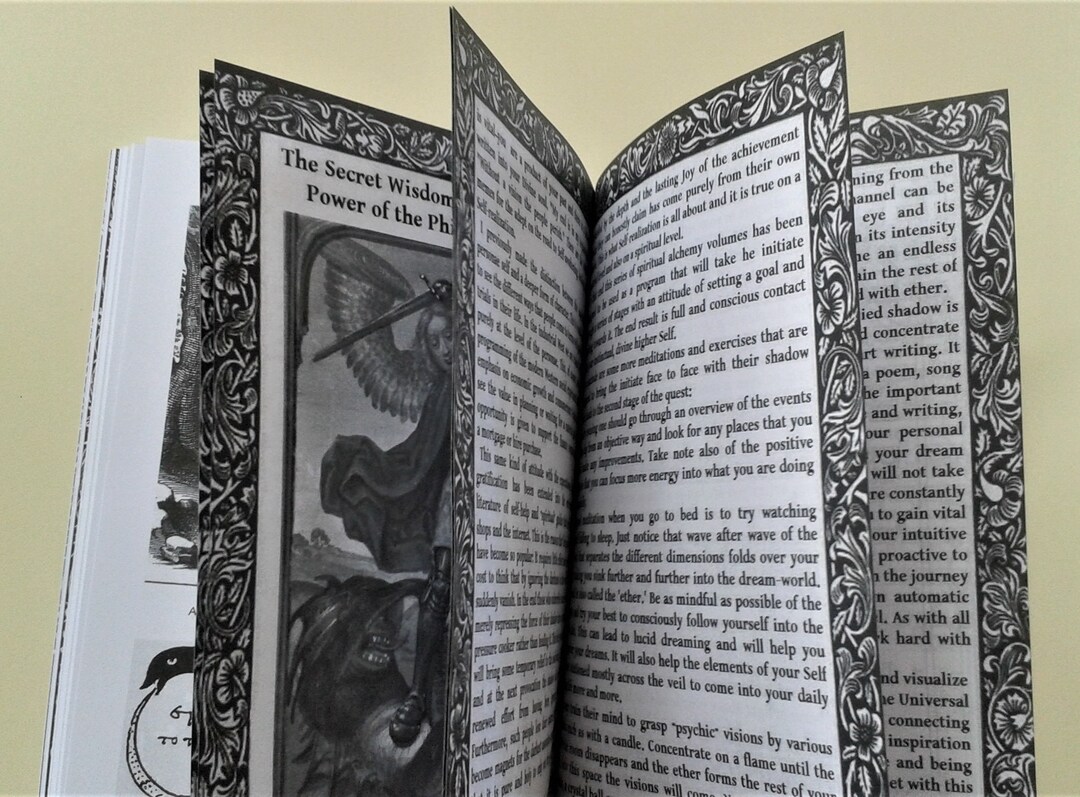An Occult History of the Toad. HARDCOVER Western, Egyptian & Chinese ...