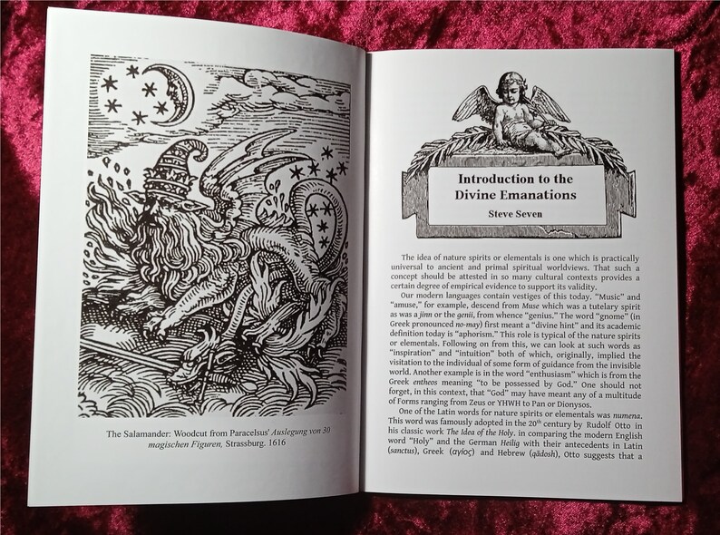 Nature Spirits, Elementals and Divine Emanations. Steve Seven & D N ...