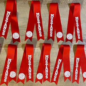 Personalized TEAM Hair Ribbons for Volleyball, Softball, Dance, Pom Pom ...