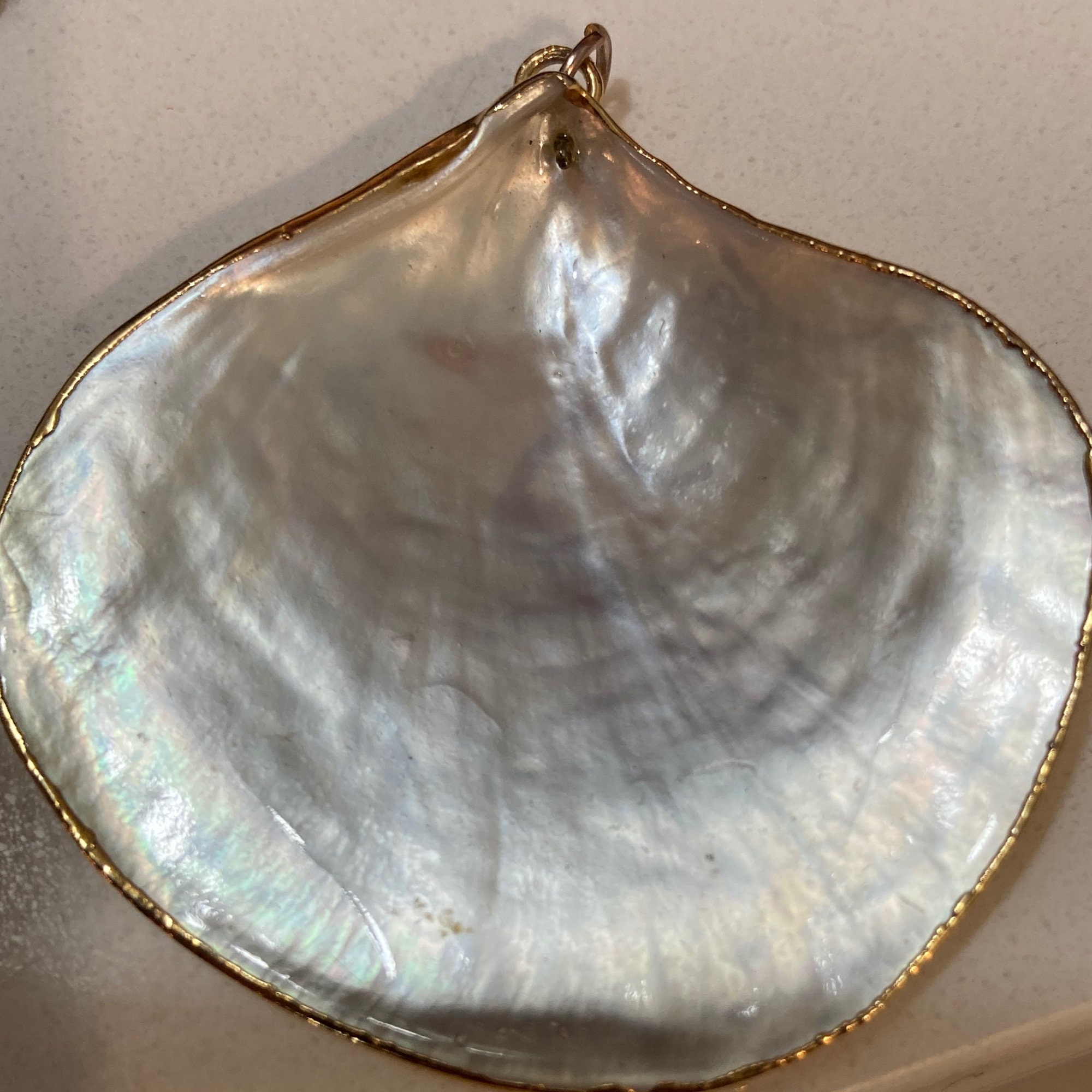 The Blue Lagoon House/huge Shell Pendant/vintage Gold From the 70s/sea ...