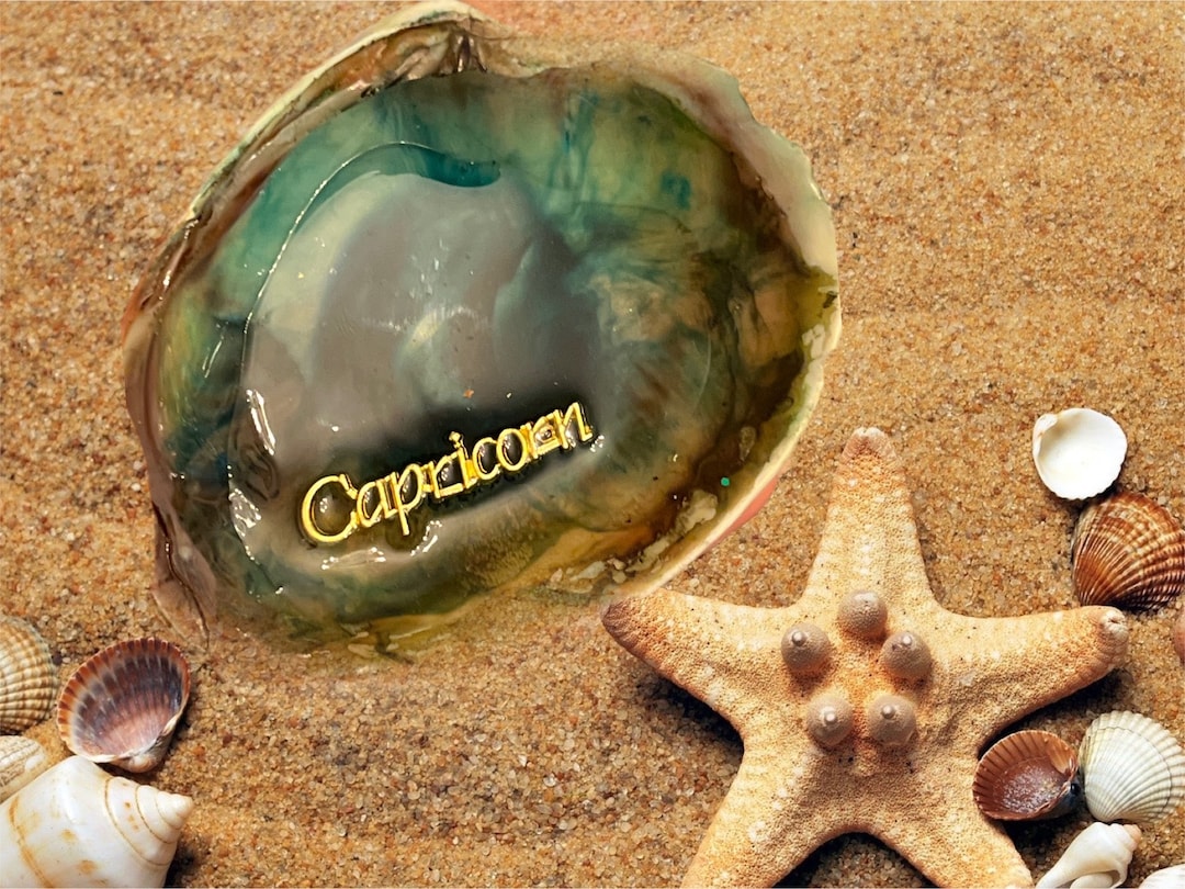 Astrology Sign Decorative Shell/ashtray/ Ring Dishes/shell Trinket ...