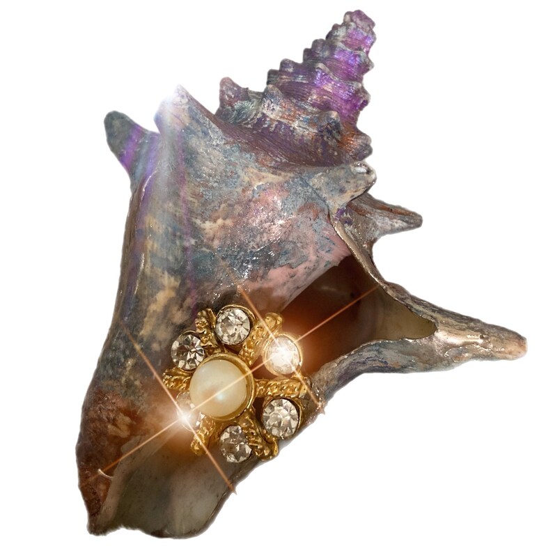 Vintage Jewelry on Hand Painted Shell/ Glass Crystal Cubic Zirconia ...