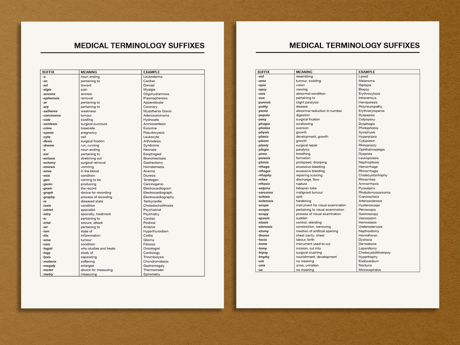 Medical Terminology List, Printable Medical Prefixes and Suffixes in ...