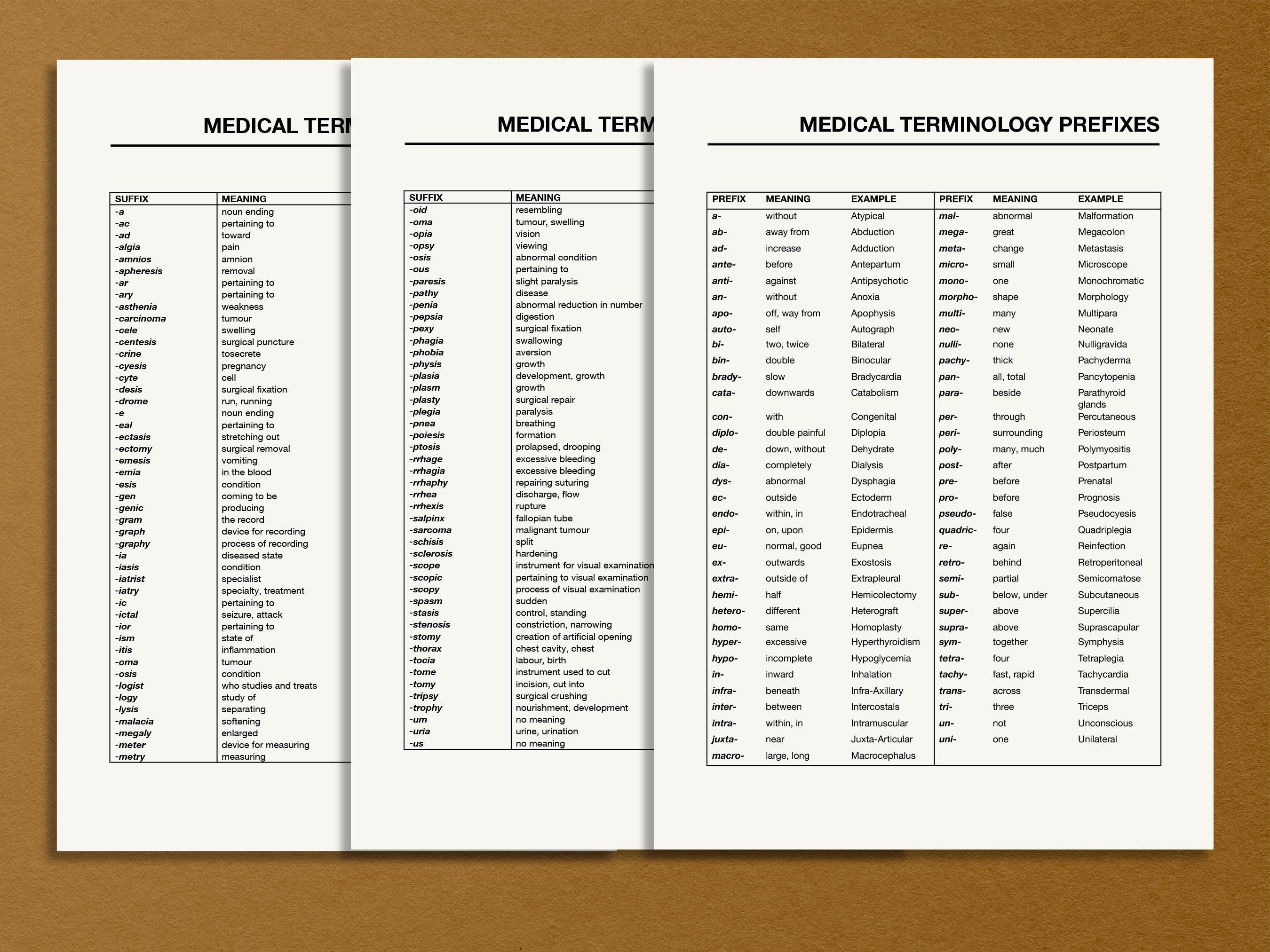 Medical Terminology List, Printable Medical Prefixes and Suffixes in ...
