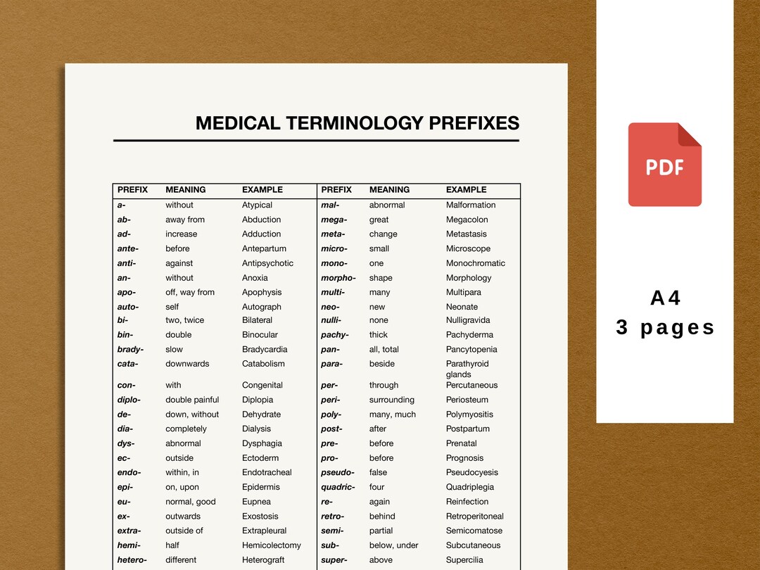 Medical Terminology List, Printable Medical Prefixes and Suffixes in ...