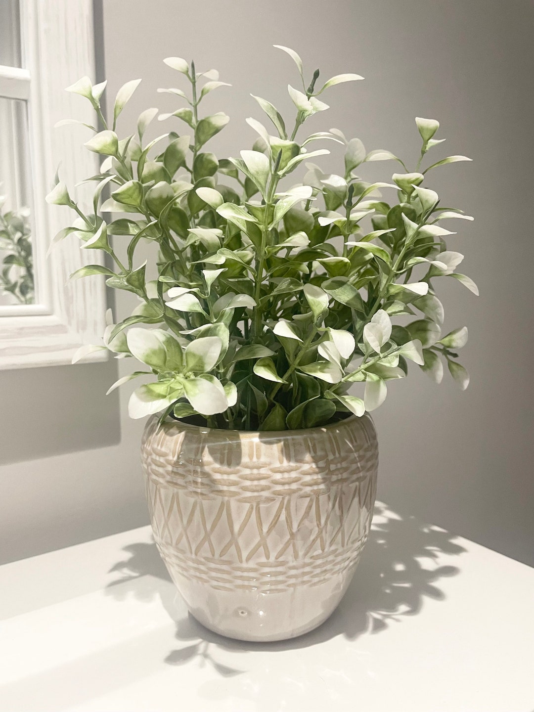 Neutral Pot Woven Design Interior Pot Indoor Pot Vase Neutral Vase Home ...