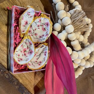 Oyster Shell Gift Box Set Shell Ring Dish, Jewelry Holder, Trinket Bowl ...
