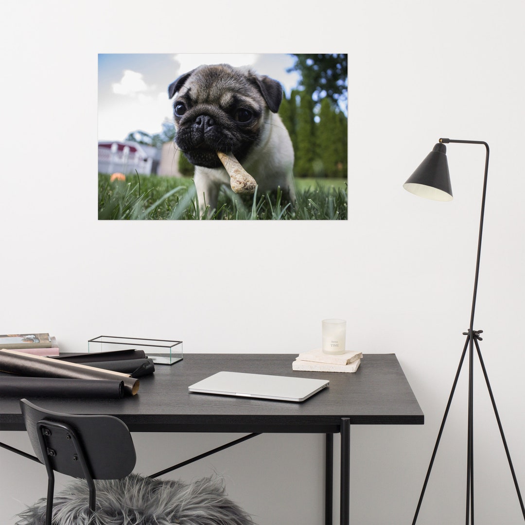 Pug Poster - Etsy