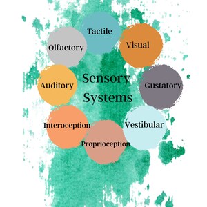 BUNDLE DIGITAL DOWNLOAD Special Education Sensory Room Posters - Etsy