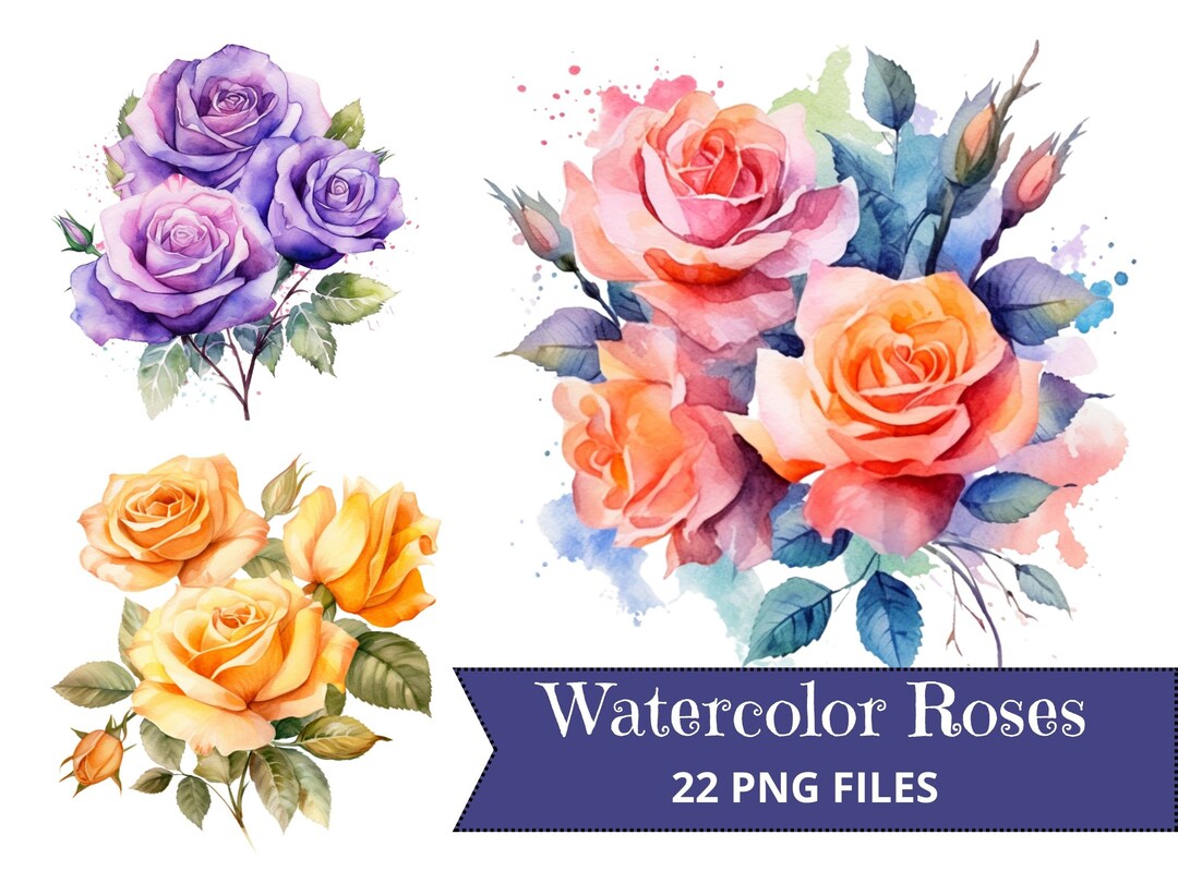 Watercolor Roses Clipart,design Illustration,commercial PNG, Digital ...